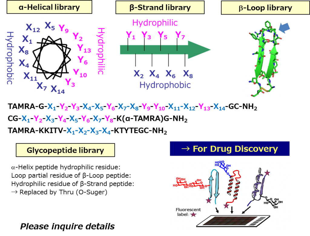 Structured Peptide Library | HiPep Laboratories