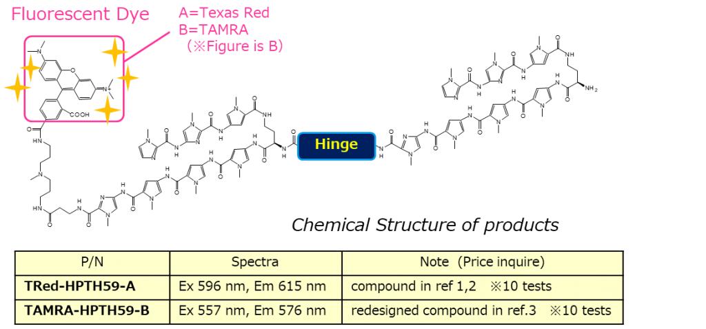 Telomere staining probe | HiPep Laboratories
